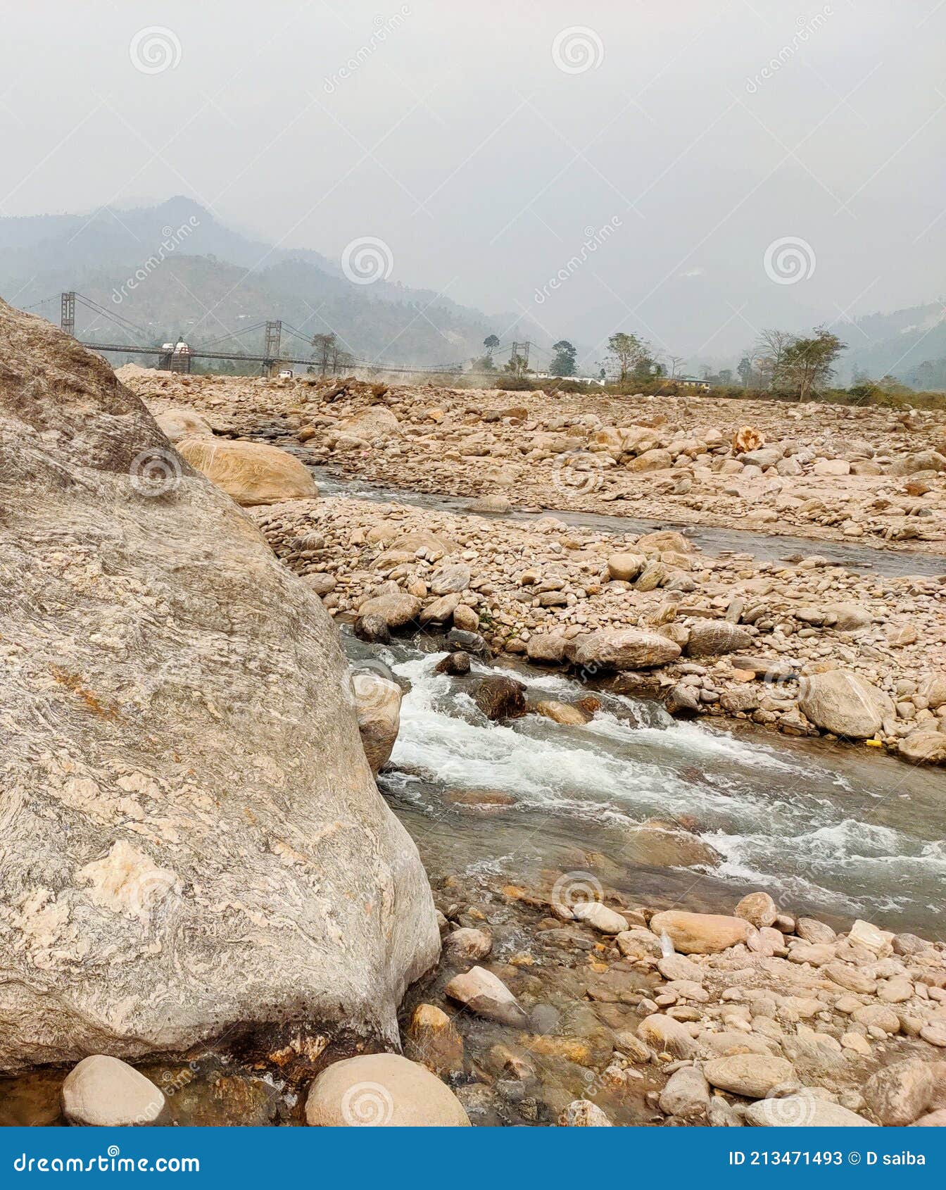 Diana River at Doors Nagrakata West Bengl& X28;India& X29;, Stock Image ...