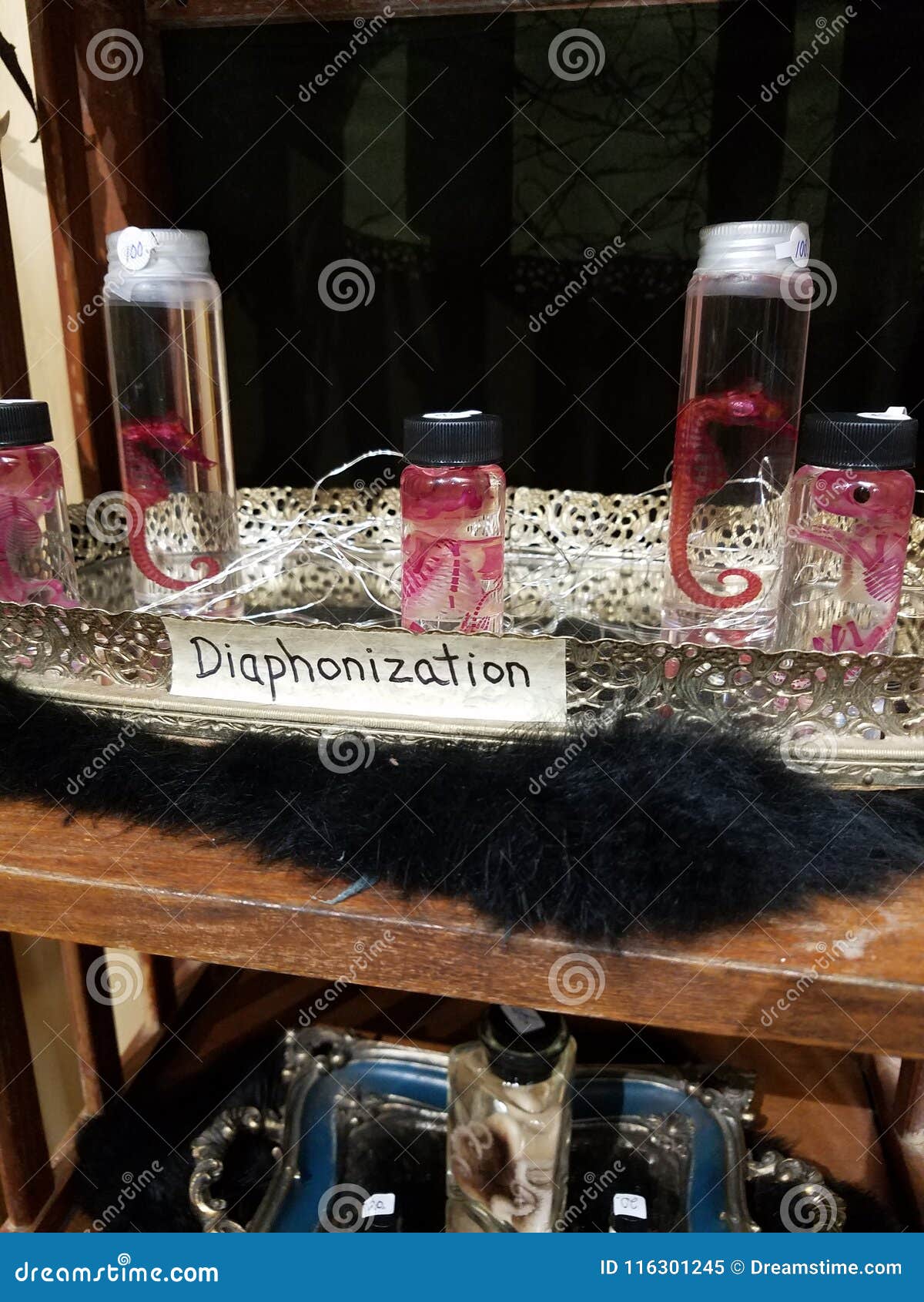 Diaphonization stock image. Image of renaissance, diaphonization ...