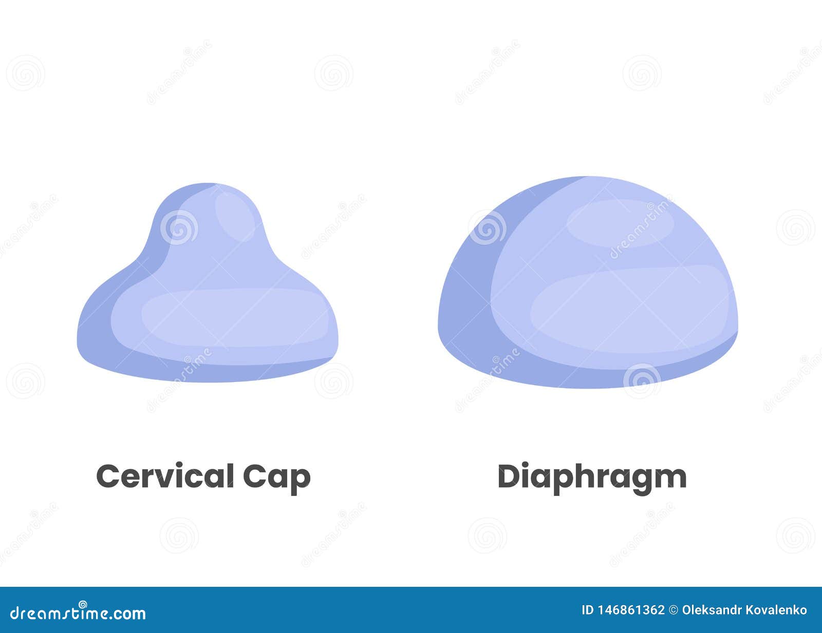 Diaphragm and cervical cap stock vector. Illustration of female - 146861362
