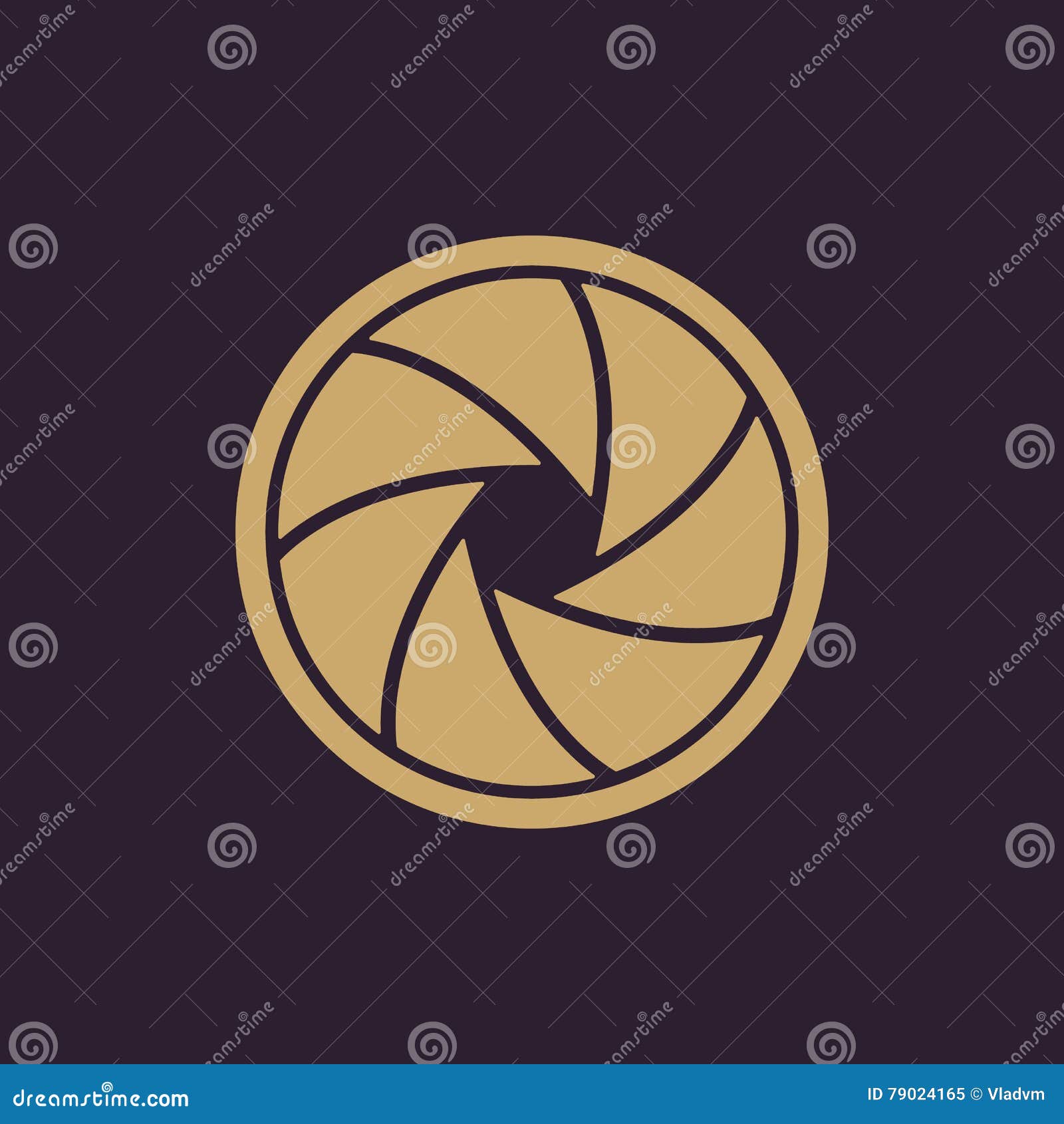The Diaphragm Icon. Aperture Symbol Stock Illustration - Illustration ...