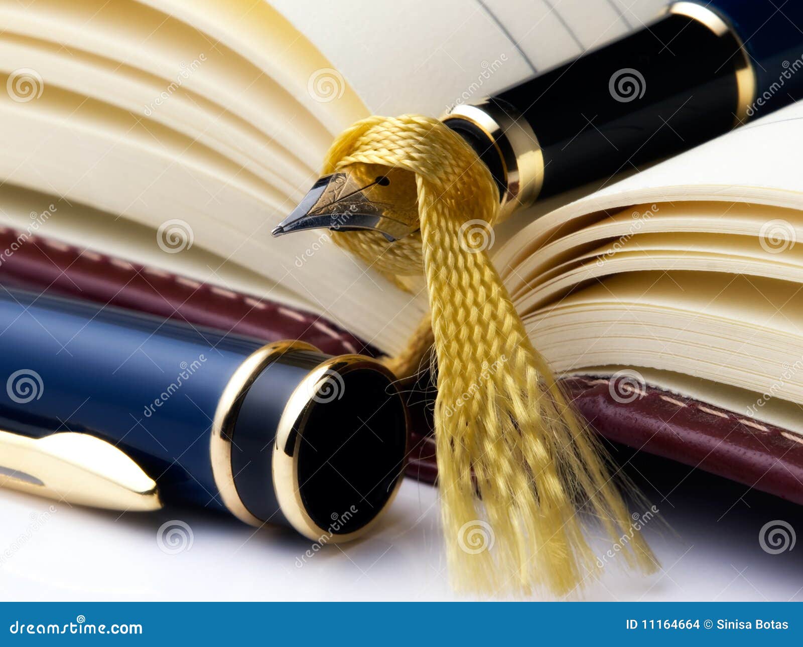 Diary stock photo. Image of business, memories, inkpot - 11164664