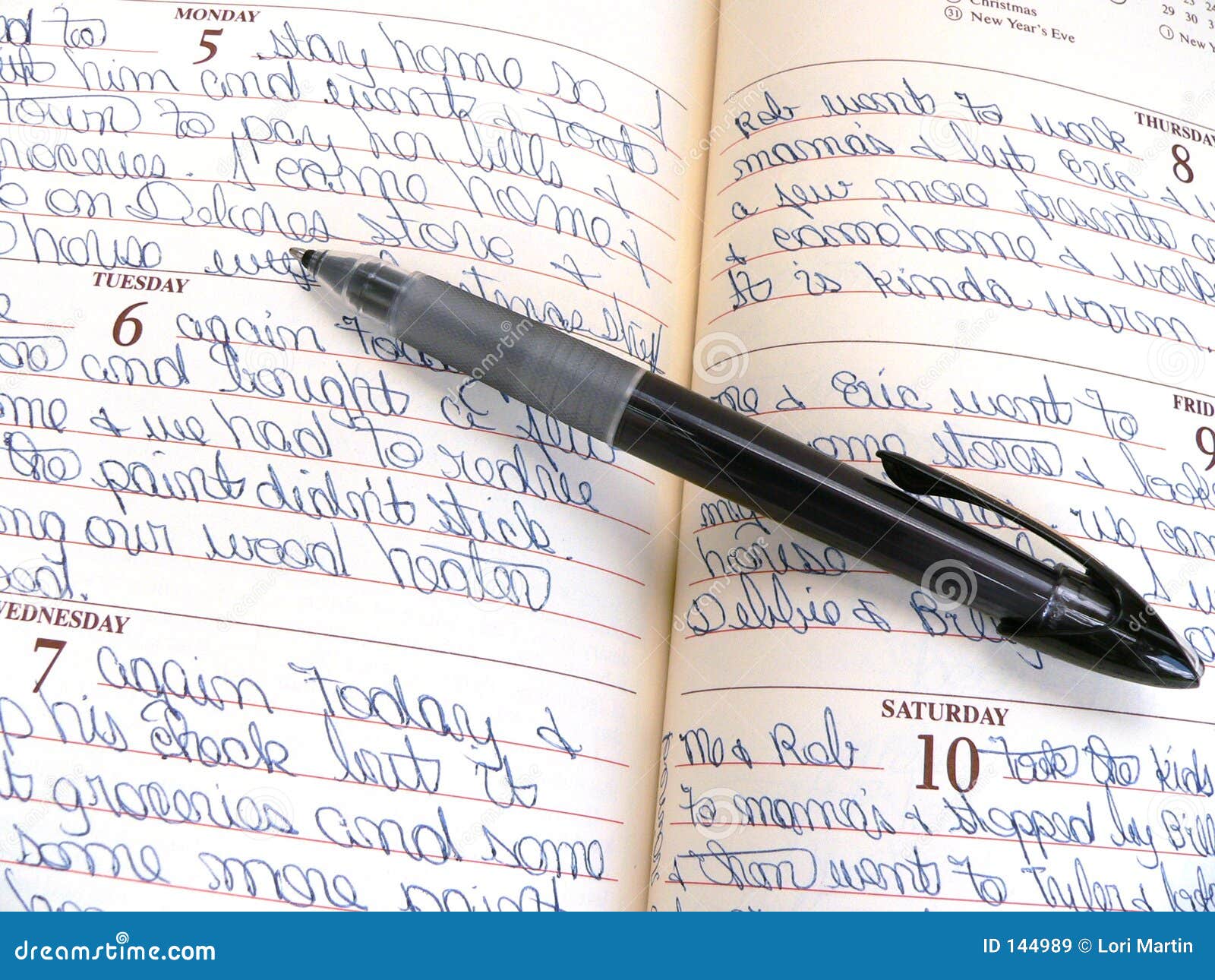 Diary stock image. Image of hand, journal, diary, private - 144989