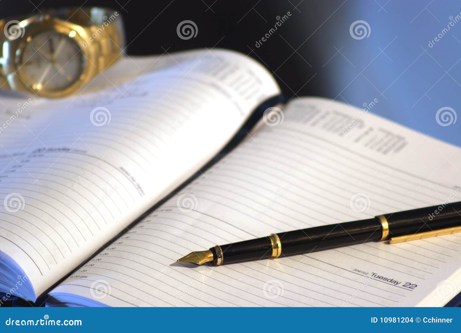 The Diary 2 stock photo. Image of book, watch, week, calendar - 10981204