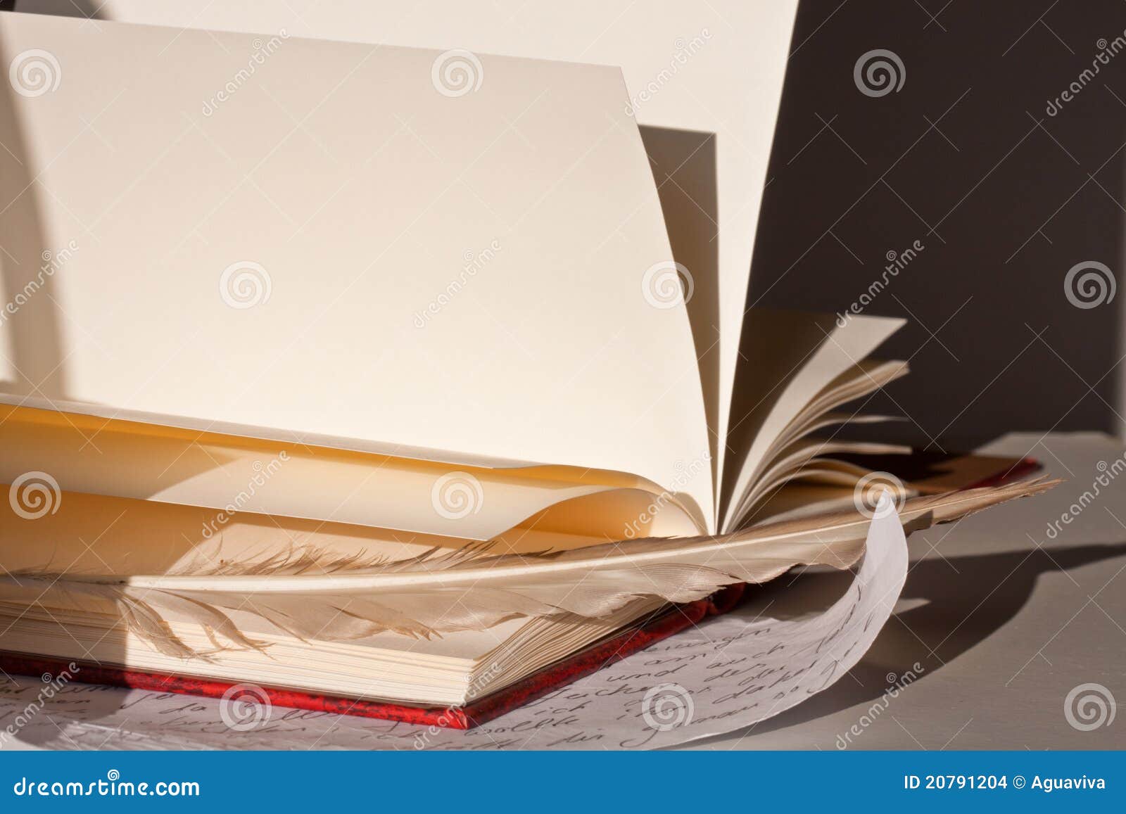 Diary stock photo. Image of read, book, leisure, document - 20791204