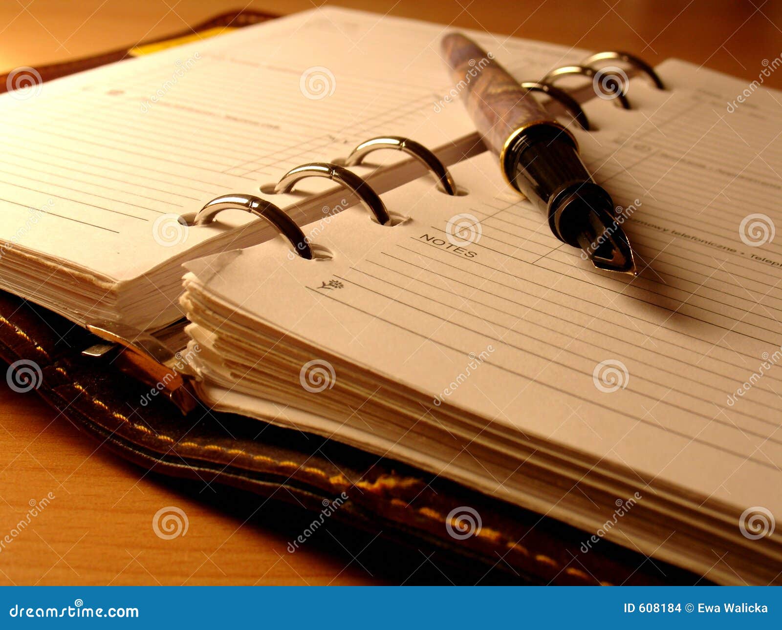 Diary stock photo. Image of fountain, organiser, planning - 608184