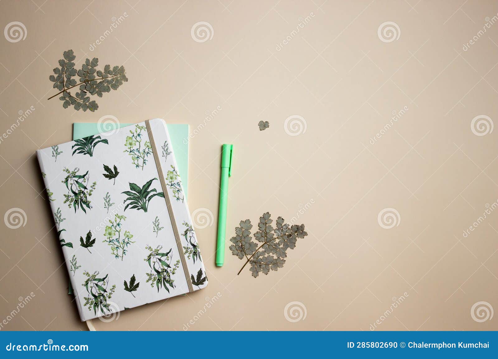 Diary Concept with Green Pen and Leaves on a Brown Background. Stock ...