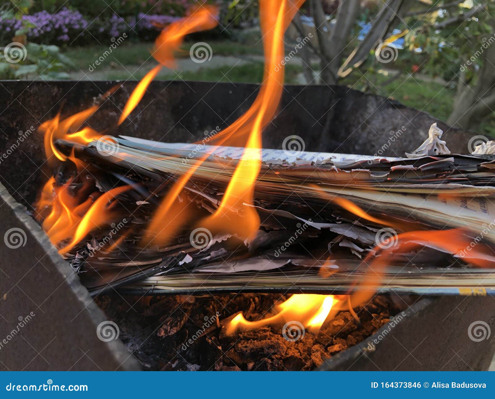 Diary with daily Hand Written Note Burning in Fire Flame Stock Photo ...