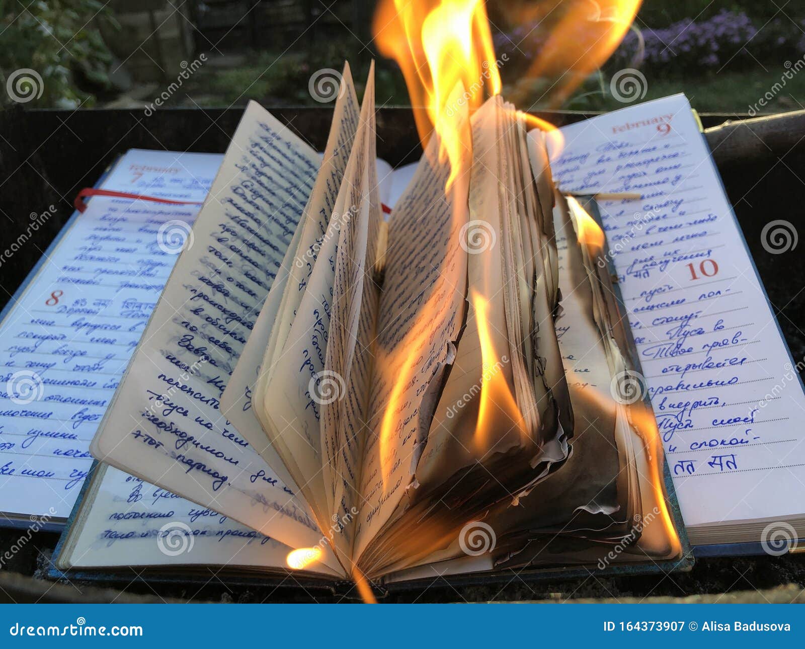 Diary with daily Hand Written Note Burning in Fire Flame Stock Image ...