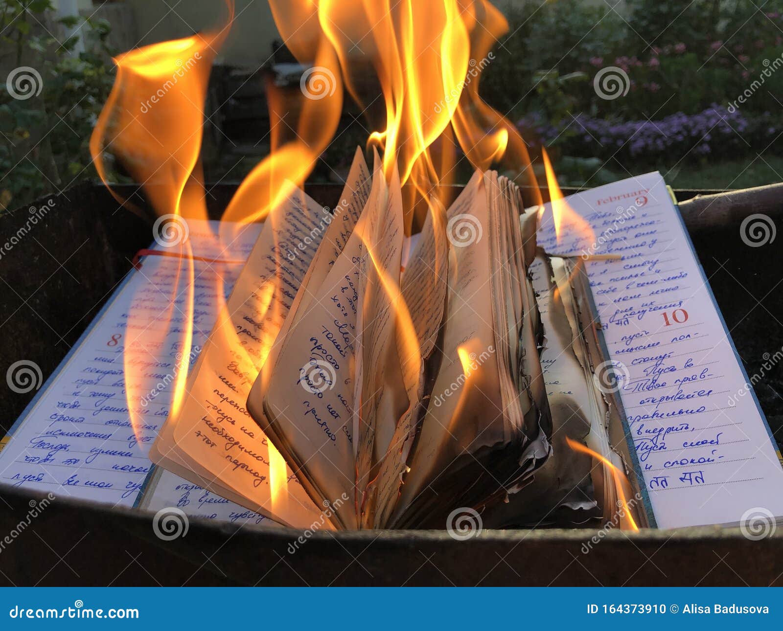 Diary with daily Hand Written Note Burning in Fire Flame Stock Photo ...