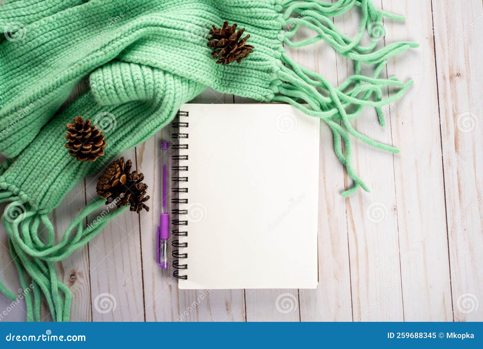 Diary or Journaling Flat Lay, Top Down View with Blank Notebook, Pen ...