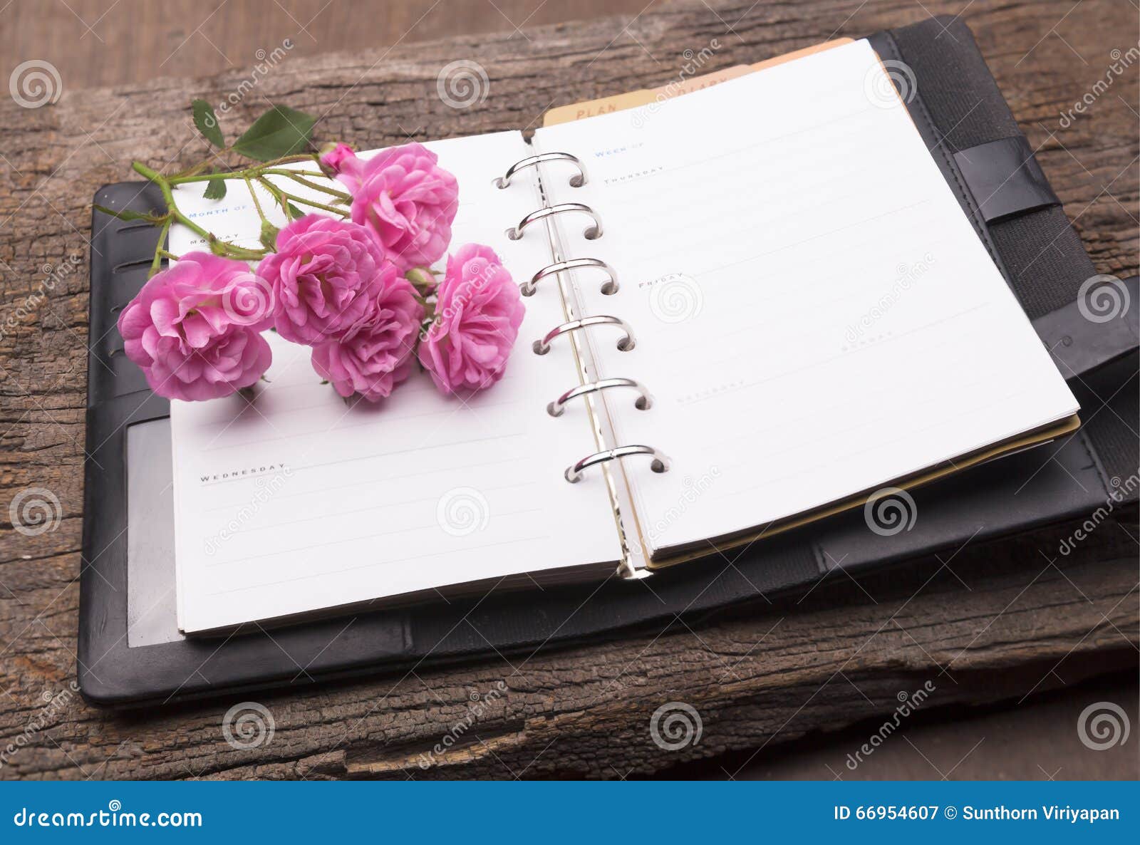 Diary Note with Pink Rose on Old Wood Stock Image - Image of material ...