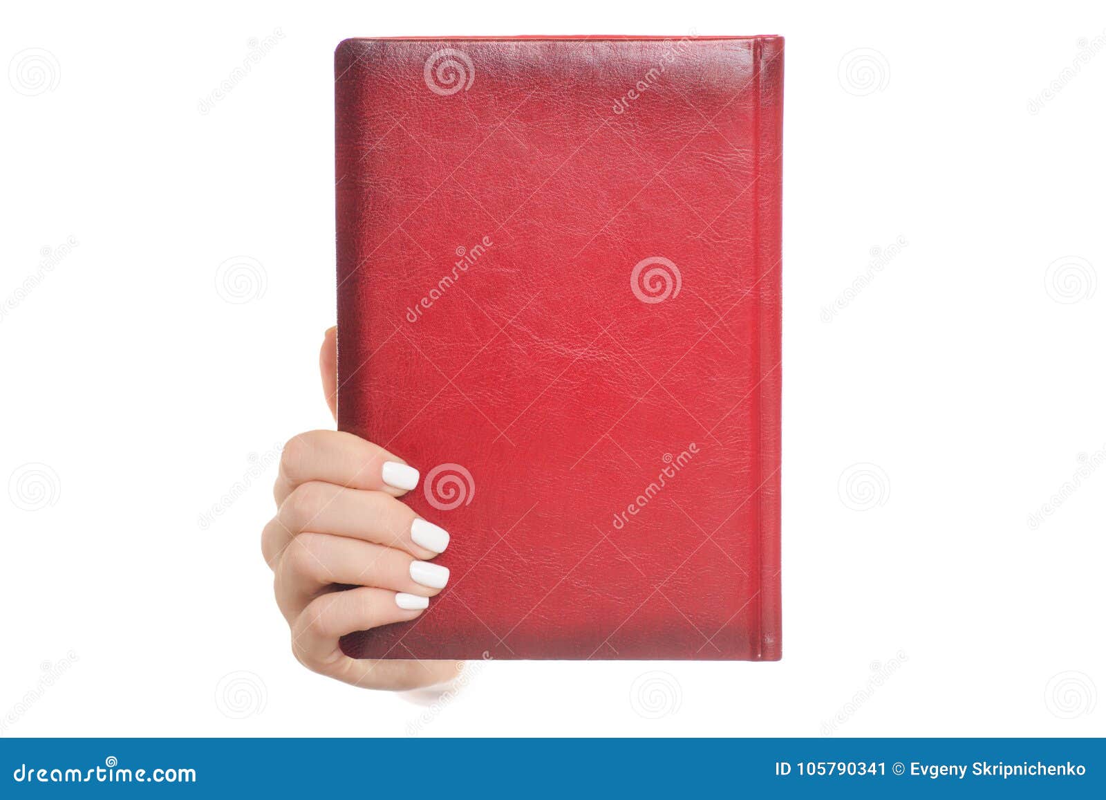 Diary Notepad of a Female Hand Stock Image - Image of holding, object ...