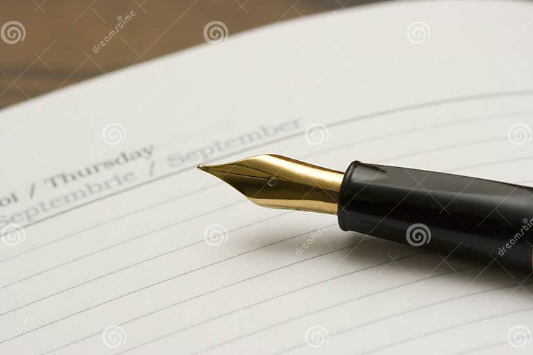 Diary and Pen stock image. Image of paper, fountain, metal - 3203981