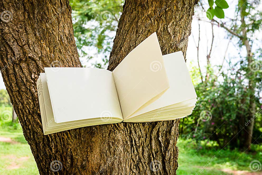 Diary on tree stock photo. Image of school, park, paper - 45711198