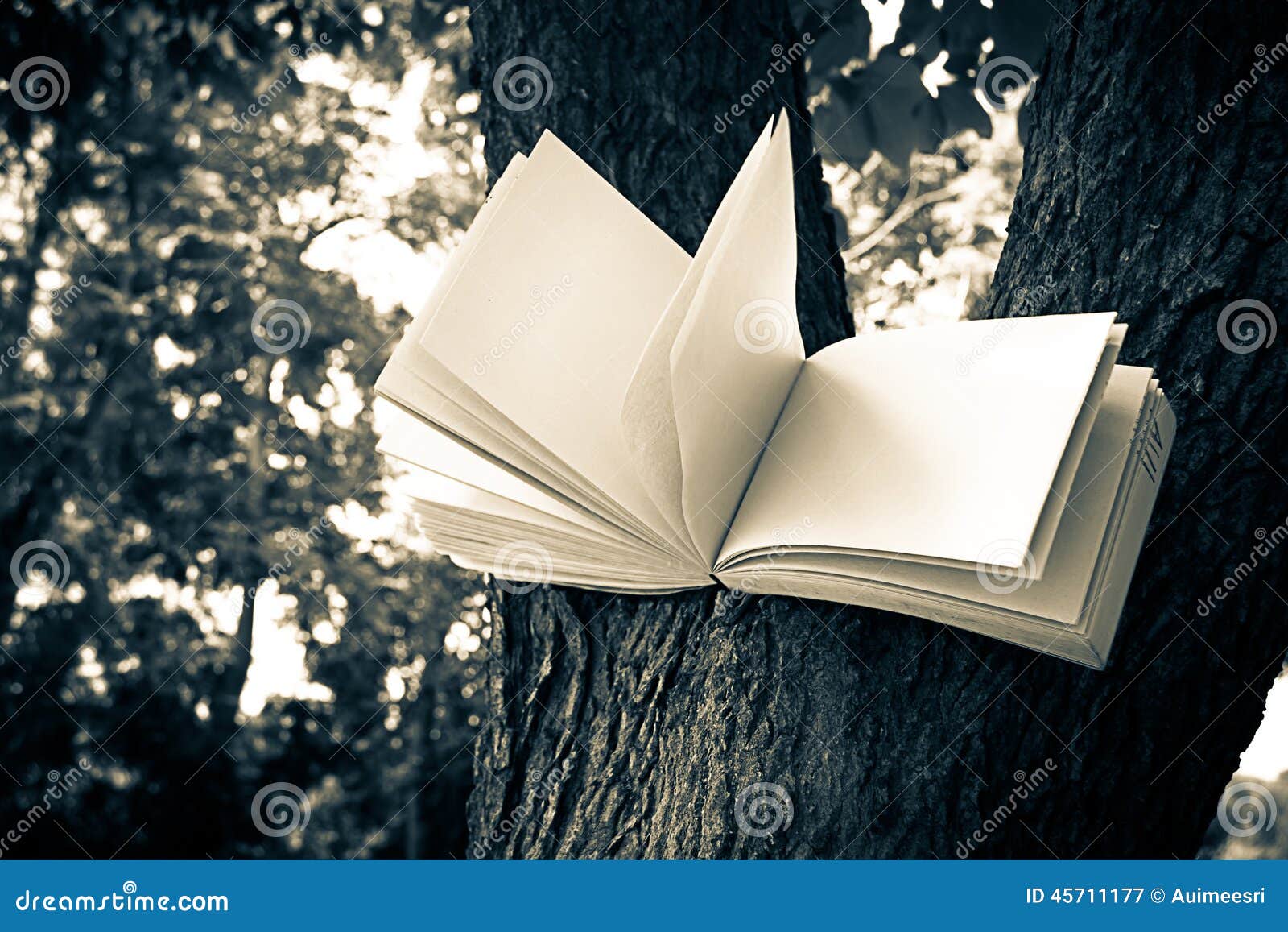 Diary on tree stock image. Image of book, cover, school - 45711177