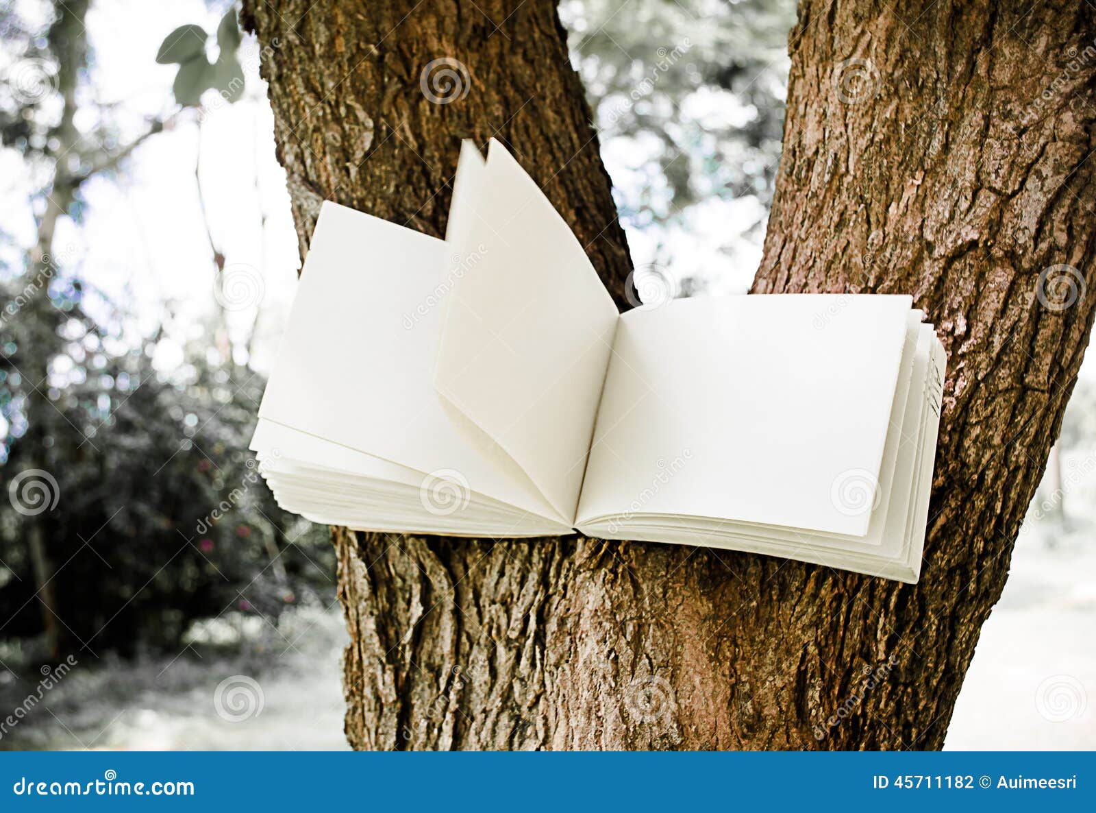 Diary on tree stock photo. Image of nature, notebook - 45711182