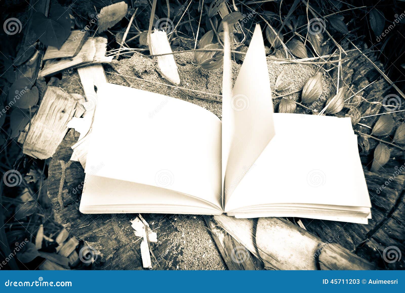 Diary on tree stock image. Image of vintage, nature, diary - 45711203