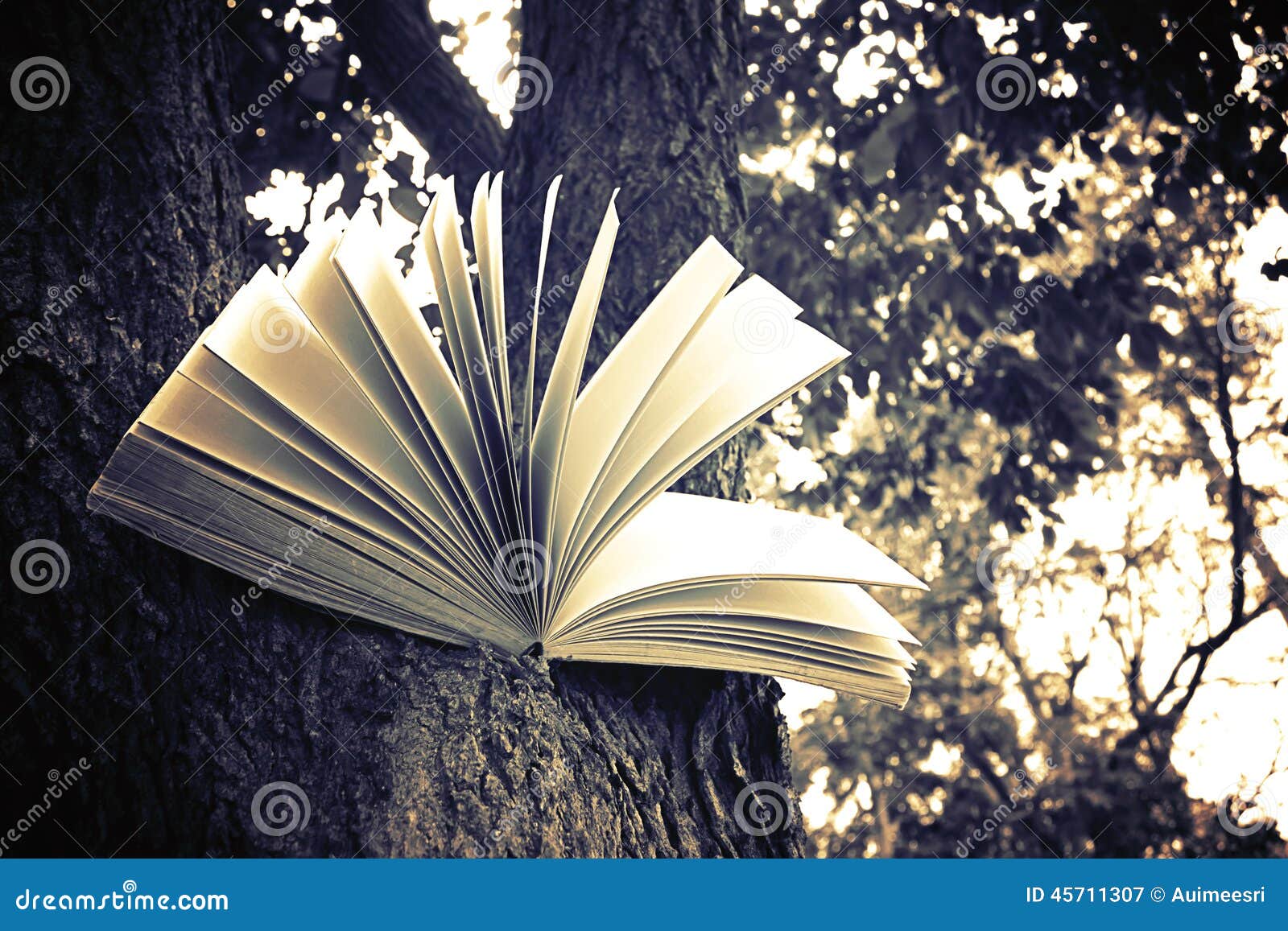 Diary on tree stock image. Image of cover, diary, book - 45711307