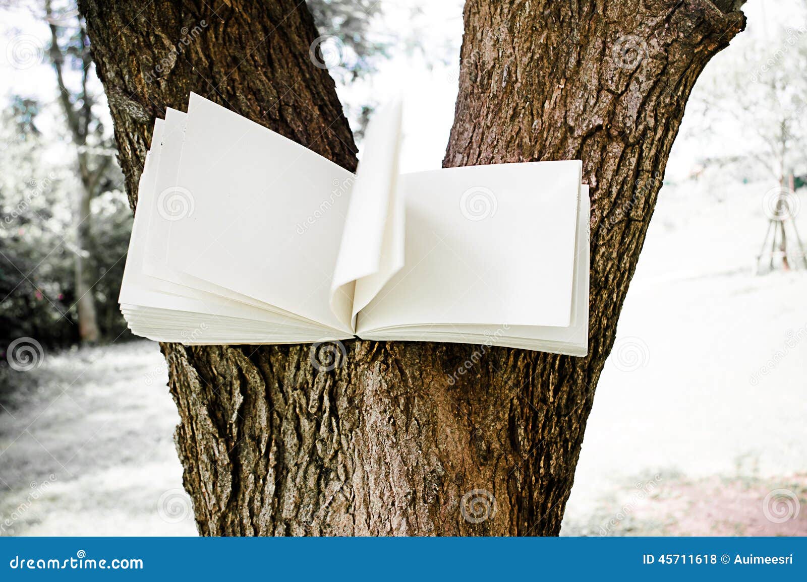 Diary on tree stock photo. Image of school, book, letter - 45711618