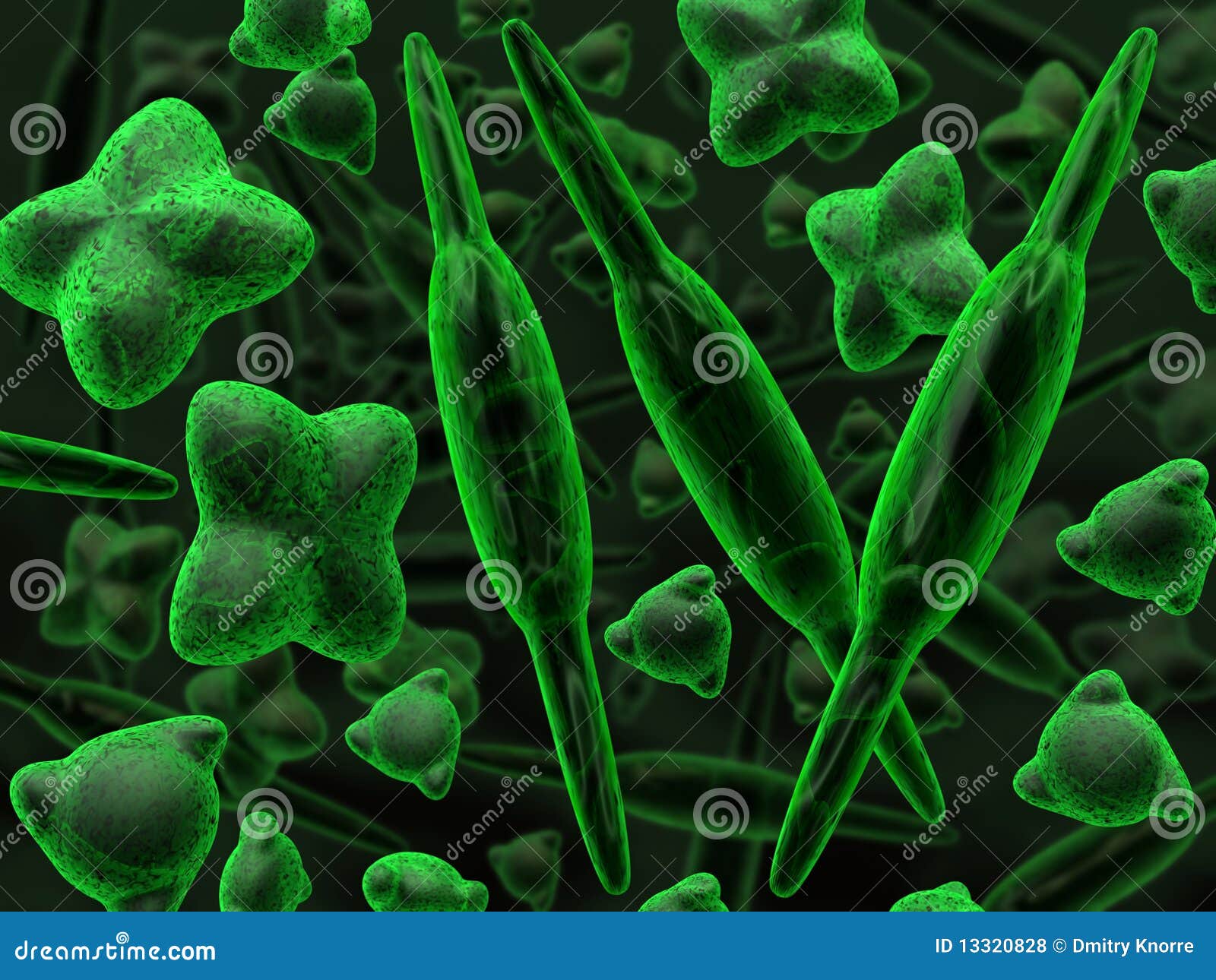 Diatoms stock illustration. Illustration of three, organism - 13320828