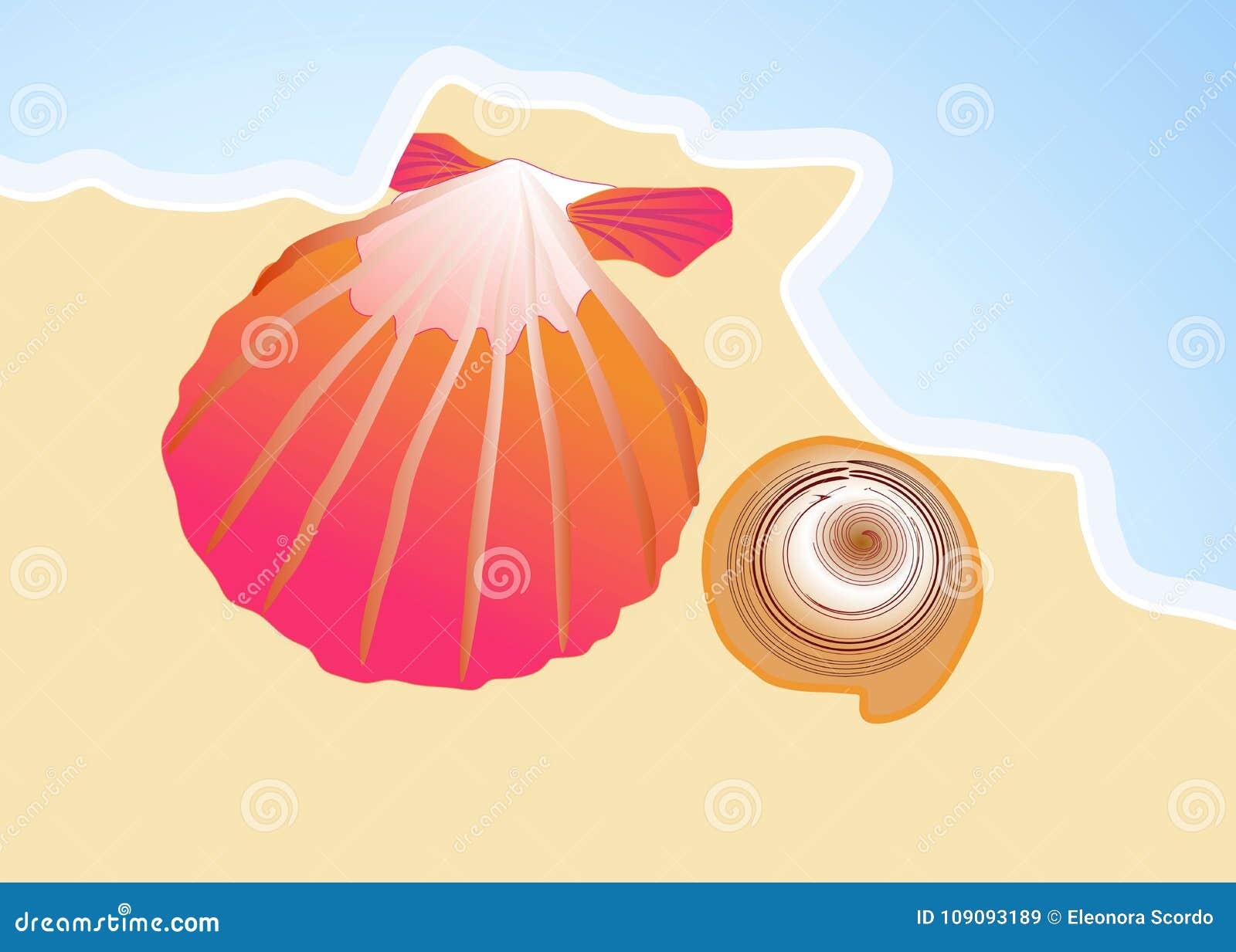 Dibujo De Dos Conchas Marinas Por El Mar Stock de ilustración ...