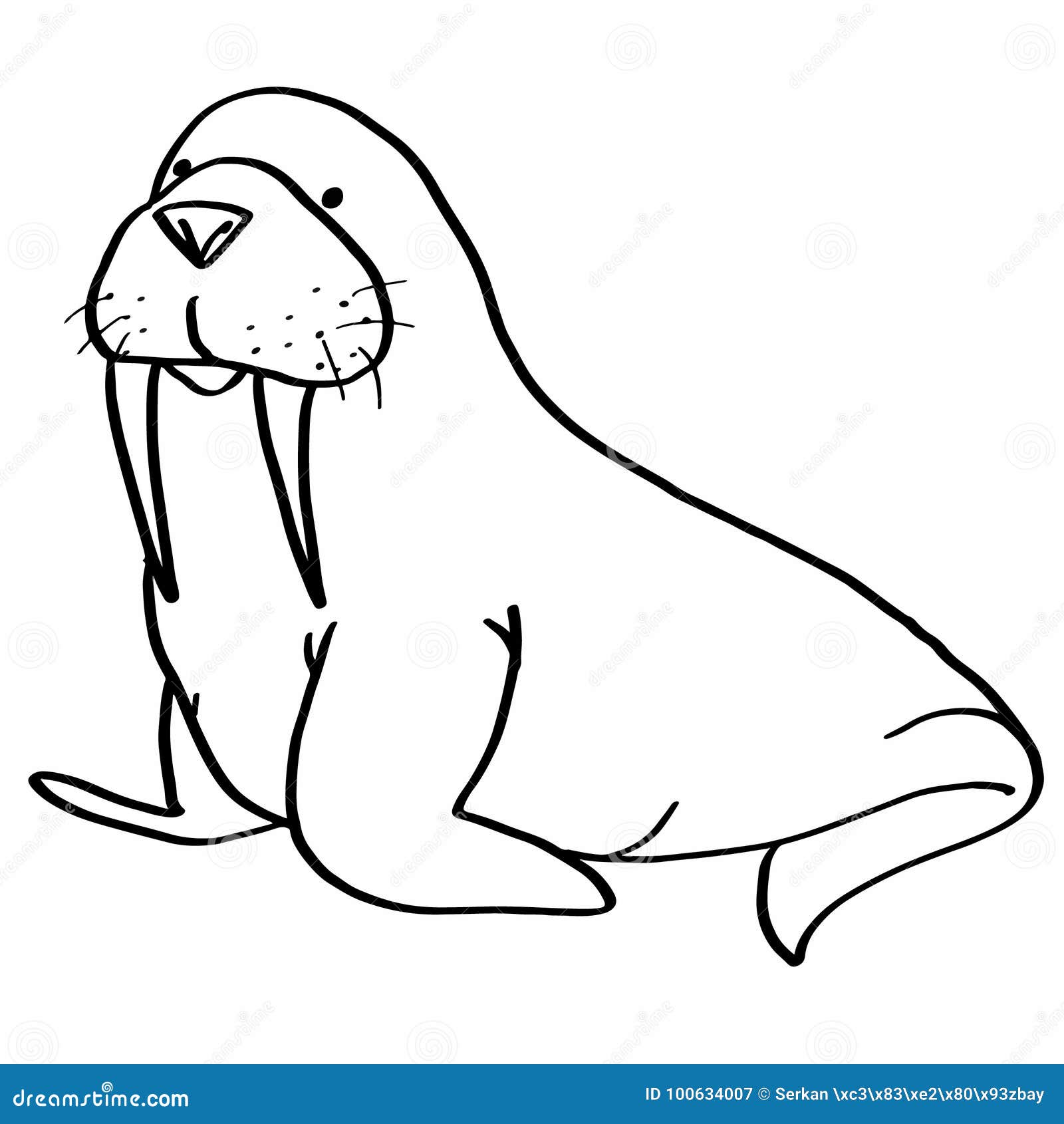 Dibujo de la morsa ilustración del vector. Ilustración de pares - 100634007