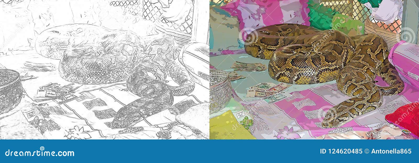 Dibujo de Python stock de ilustración. Ilustración de reptil - 124620485