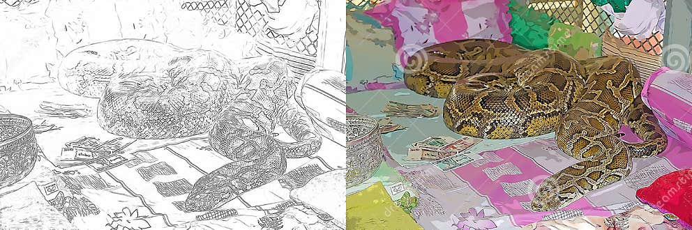 Dibujo de Python stock de ilustración. Ilustración de reptil - 124620485