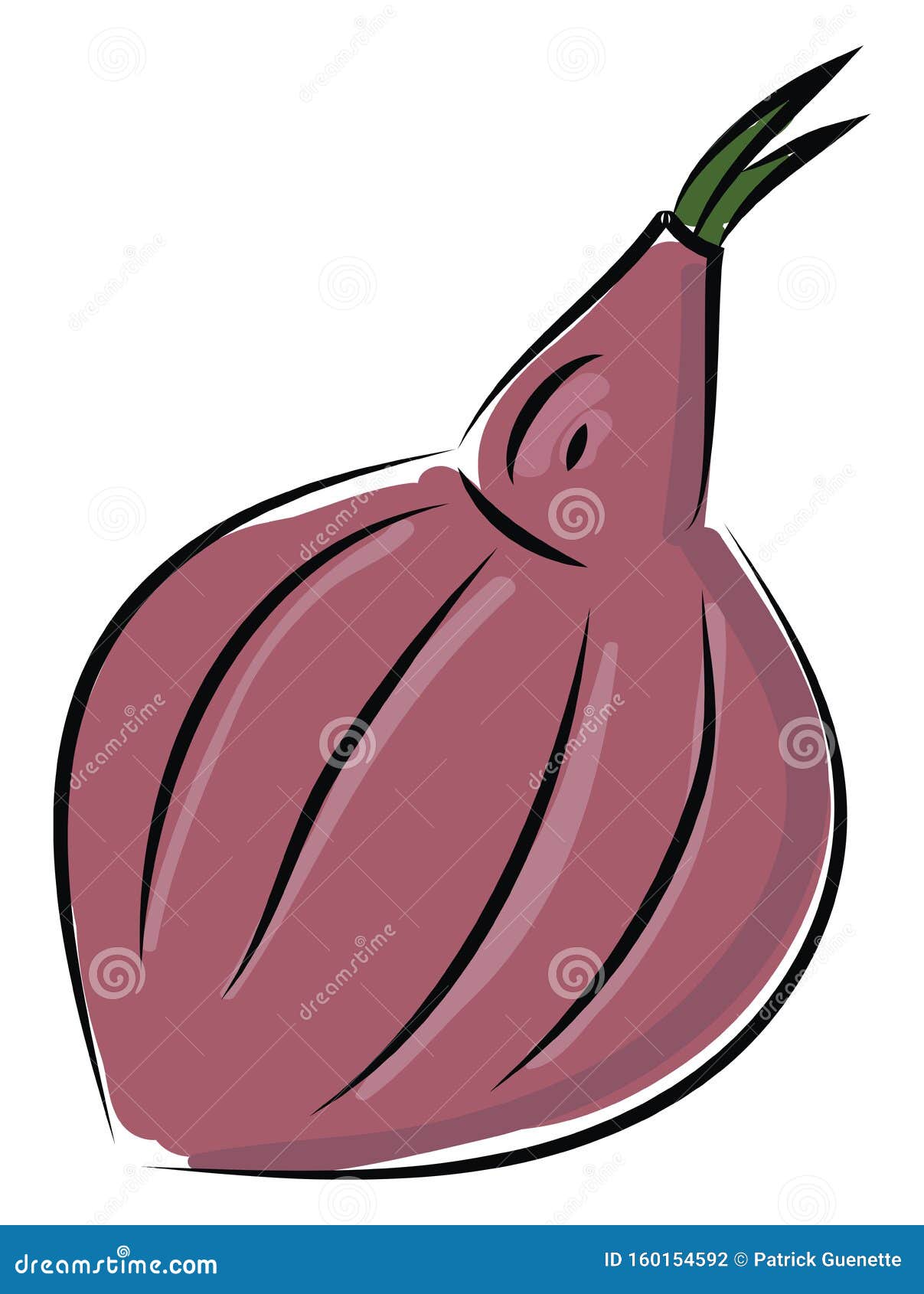 Dibujo de una cebolla roja ilustración del vector. Ilustración de ...