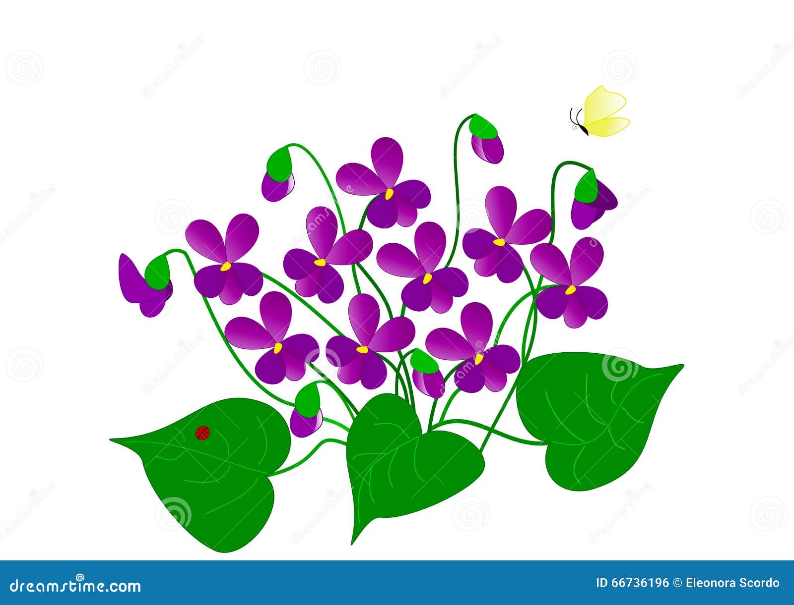 Dibujo de violetas stock de ilustración. Ilustración de resorte - 66736196