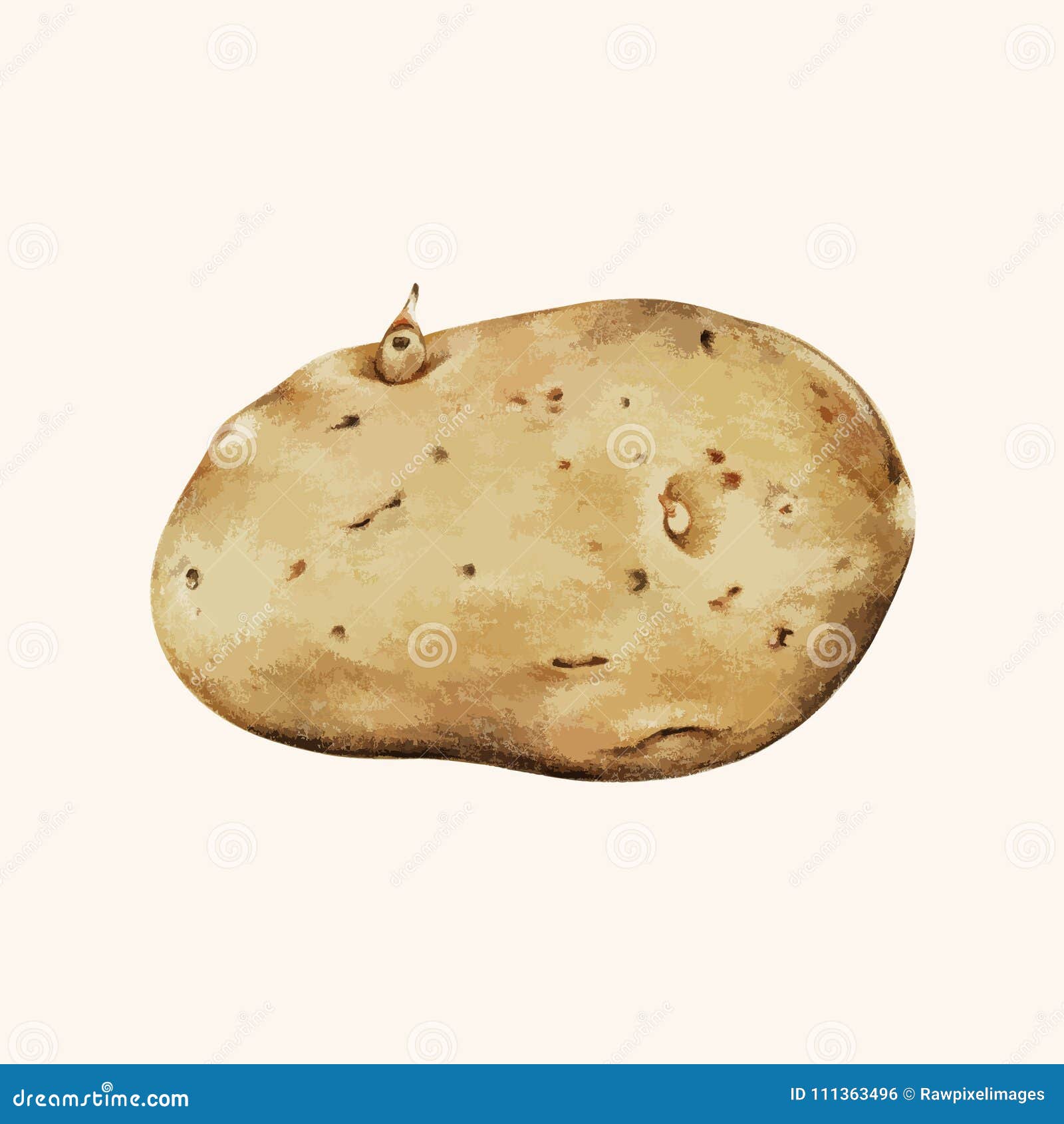 Dibujo Del Ejemplo De Una Patata Stock de ilustración - Ilustración de ...