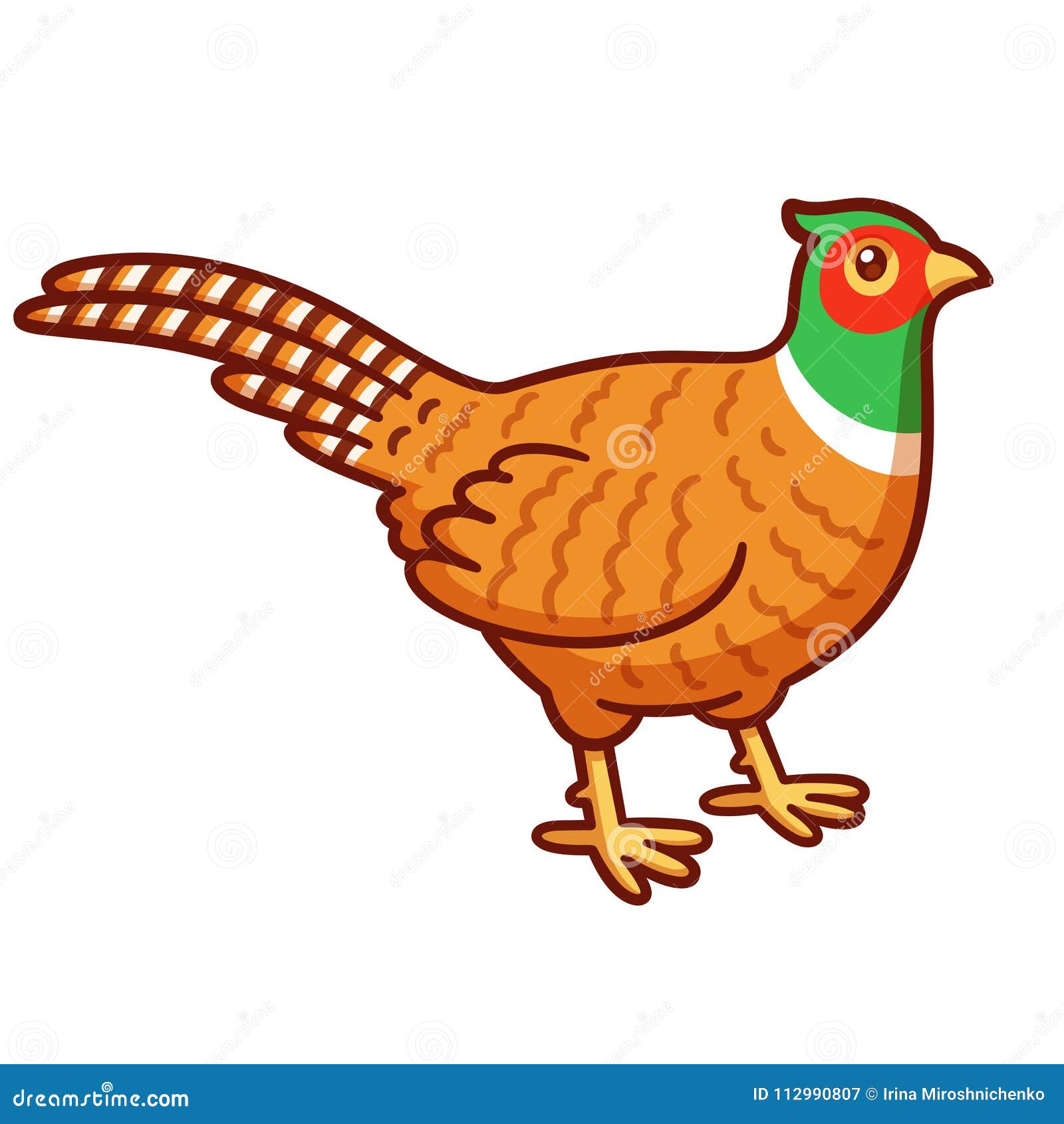 Dibujo Del Faisán De La Historieta Ilustración del Vector - Ilustración ...