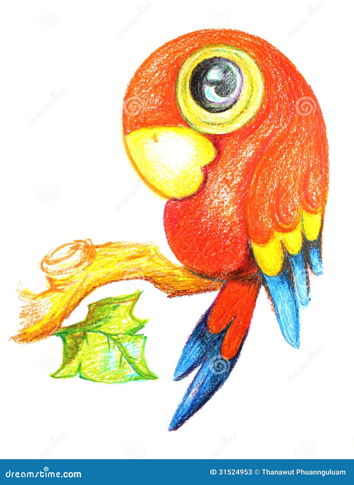 Dibujo del loro stock de ilustración. Ilustración de amigo - 31524953