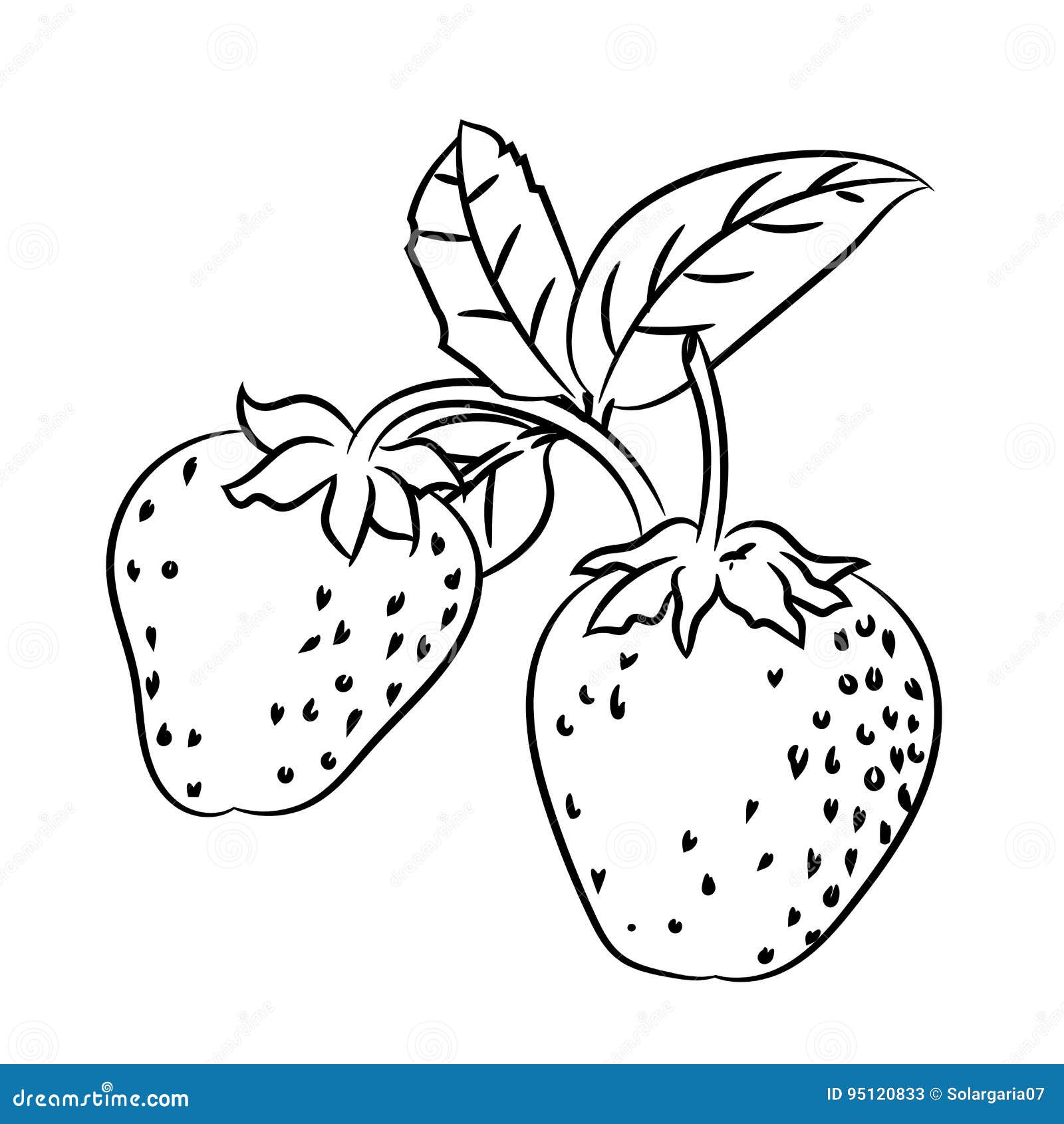 Dibujo Lineal De La Fresa Línea Simple Vector Ilustración Del Vector