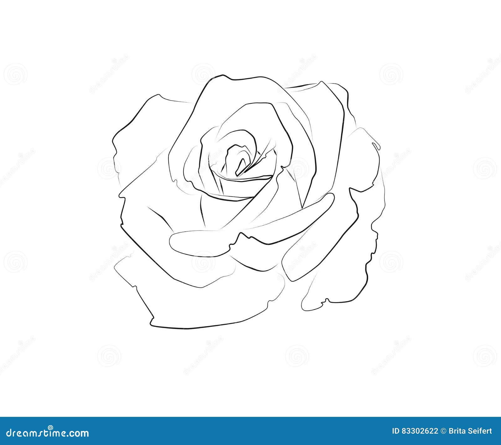 Dibujo Lineal De Rosa Realista