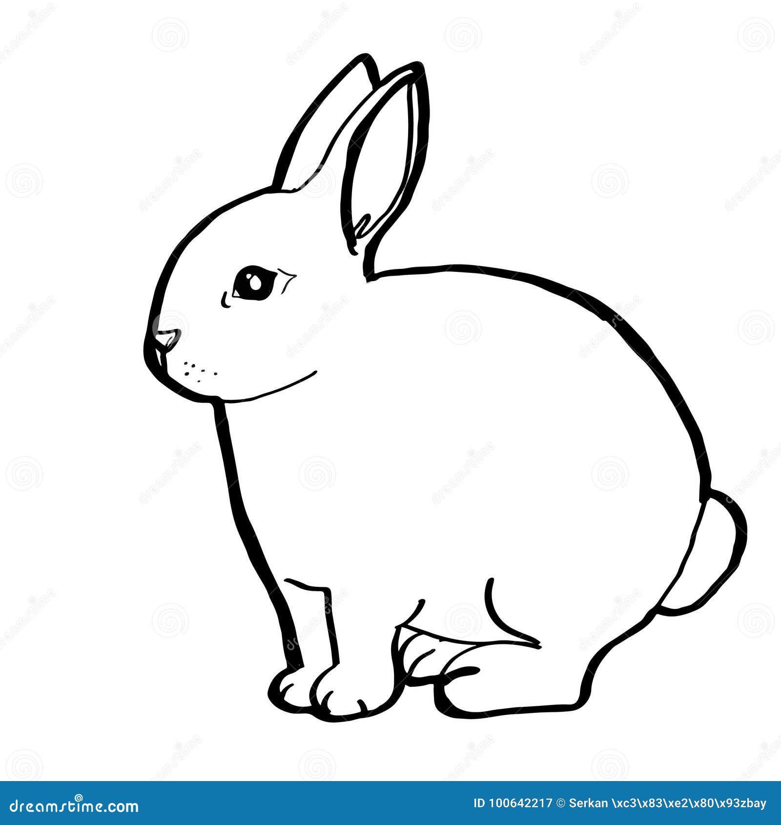 Dibujo realista del conejo ilustración del vector. Ilustración de ...