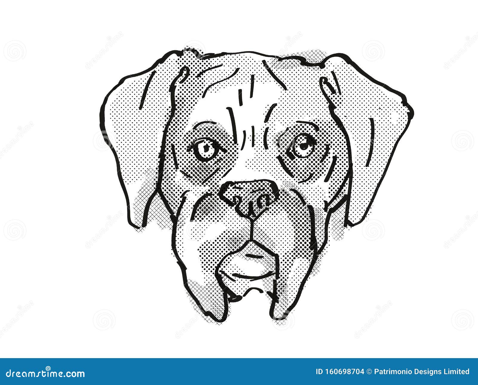 Dibujo Retro De La Raza Del Perro De Boxer Stock de ilustración ...