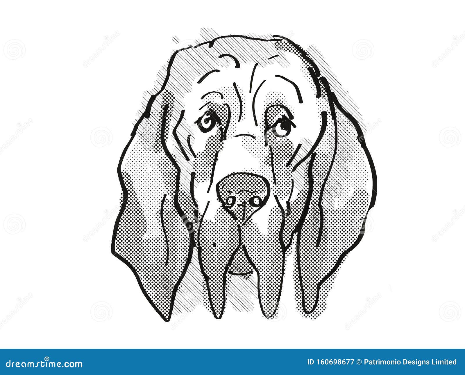 Dibujo Retro De Perro Santo Stock de ilustración - Ilustración de perro ...