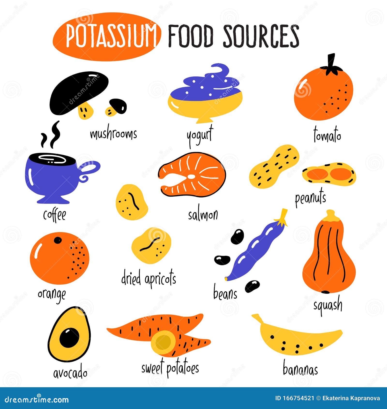 Dibujo Vectorial De Fuentes De Alimentos De Potasio Stock de ...