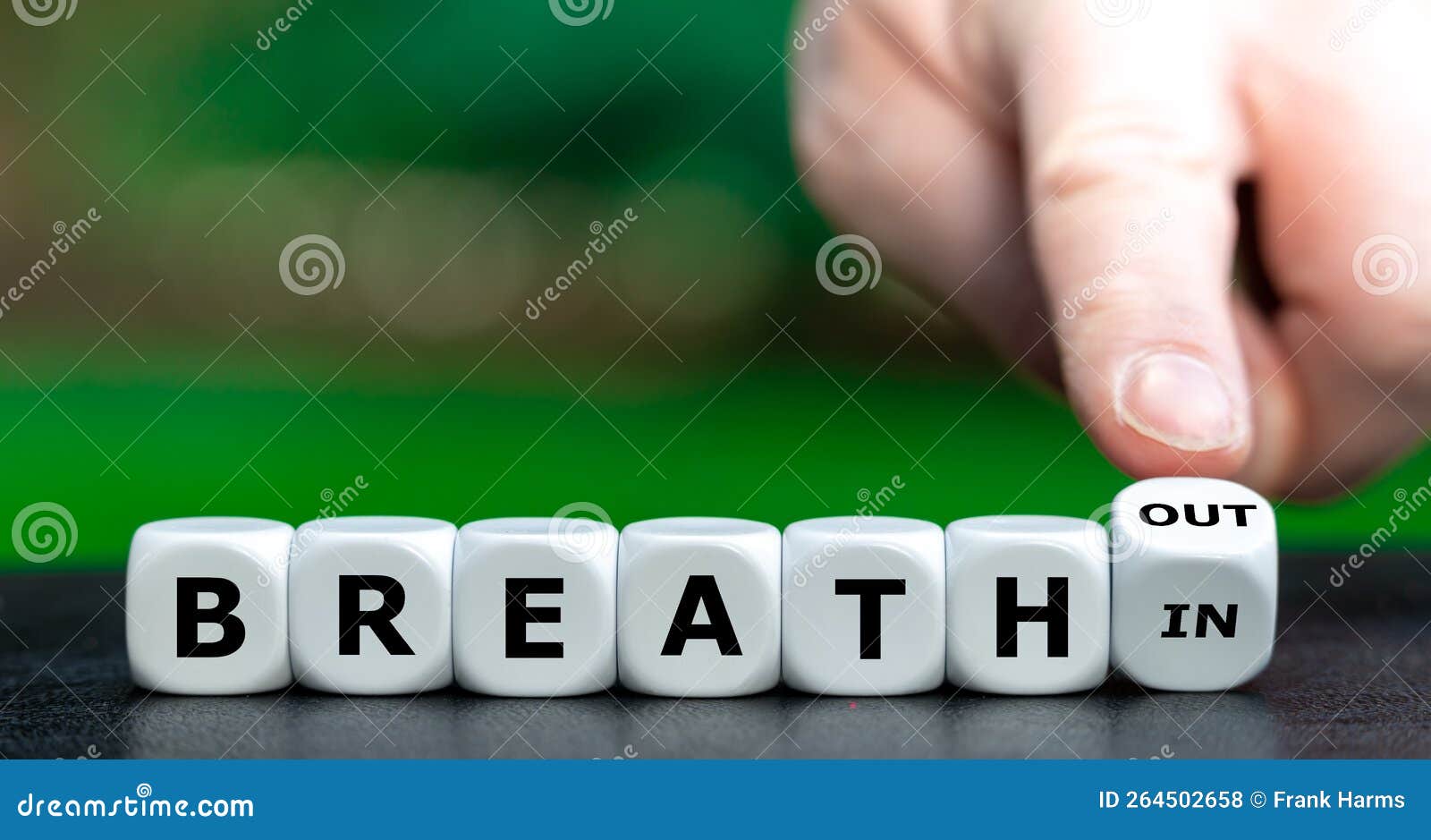 Dice Form the Expression `breath in` and `breath Out`. Stock Photo ...