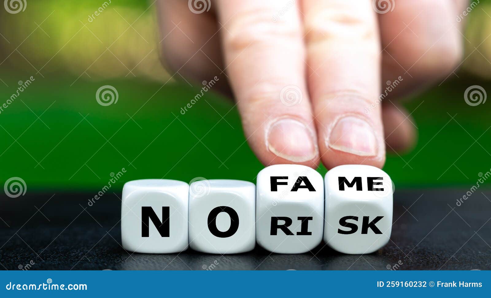 Dice Form the Expression `no Risk No Fame`. Stock Photo - Image of word ...