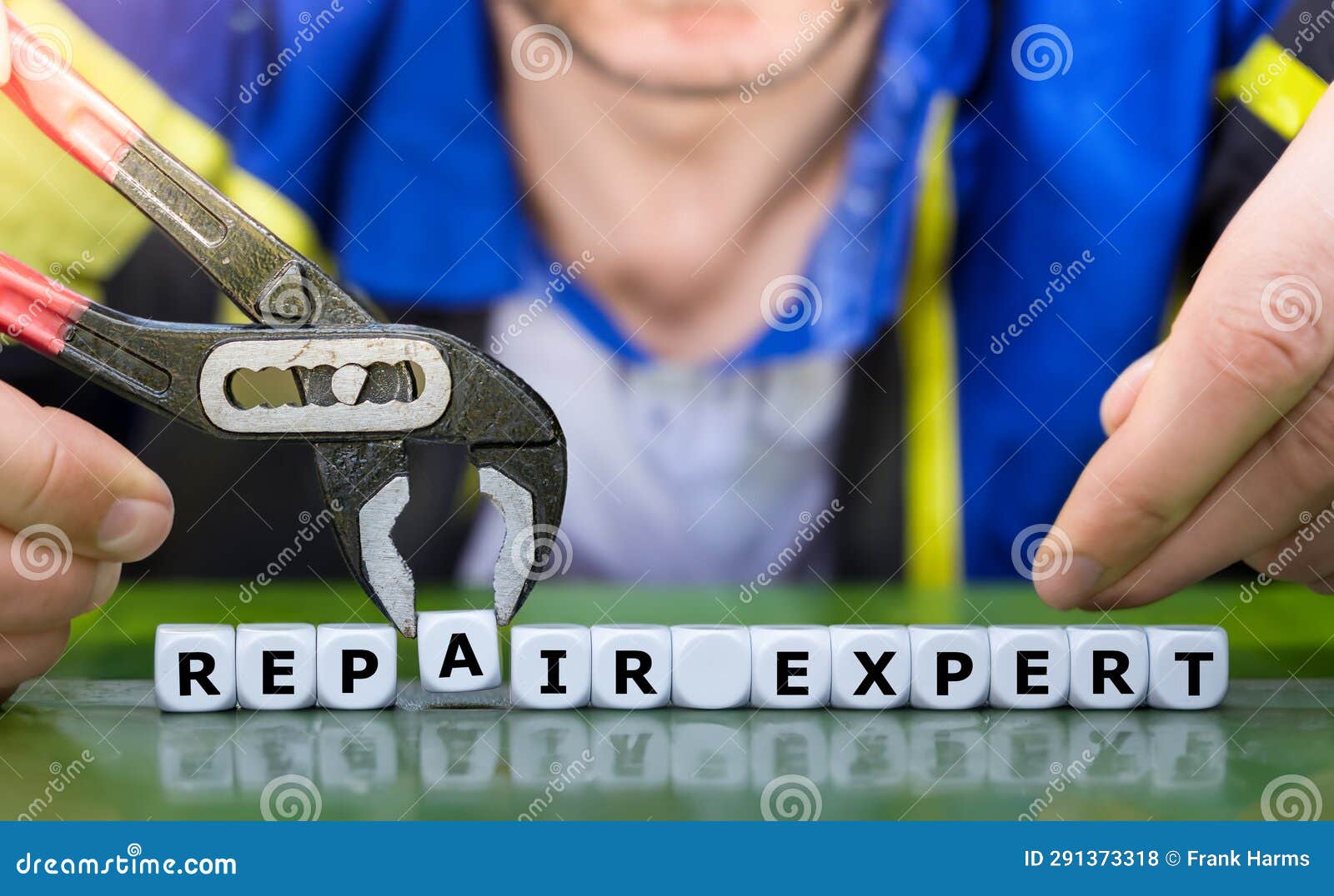 Dice Form the Expression Repair Expert in Front of an Handyman. Stock ...