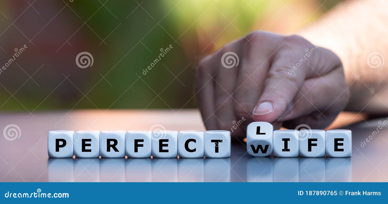 Dice Form the Expressions `perfect Life` and `perfect Wife`. Stock ...
