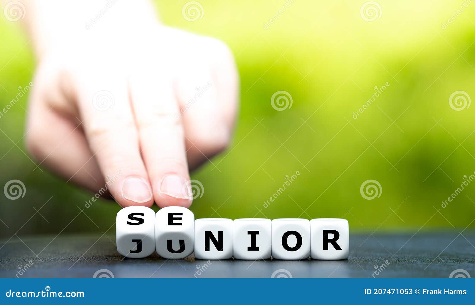 Dice Form the Words Senior and Junior. Stock Image - Image of change ...