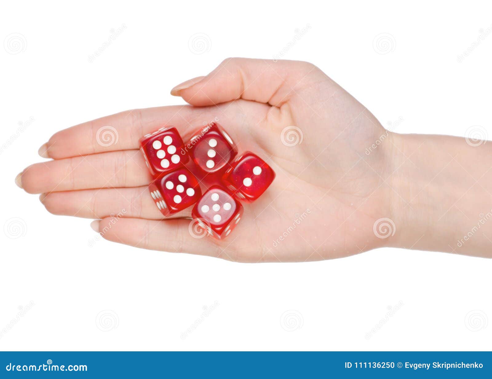 Dice in hands stock photo. Image of gamble, competition - 111136250