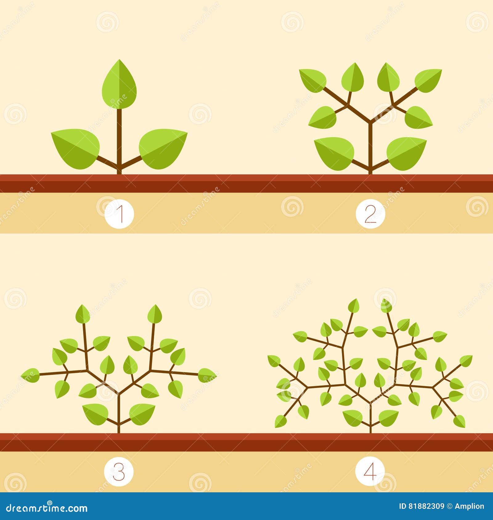 Dichotomous Cartoons, Illustrations & Vector Stock Images - 12 Pictures ...