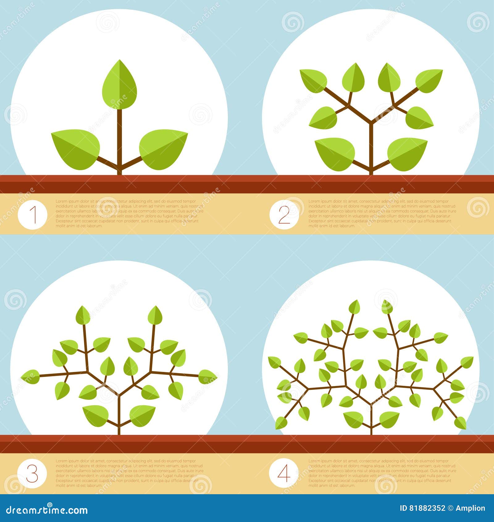 Dichotomous Branching Plants Banner Stock Vector - Illustration of ...