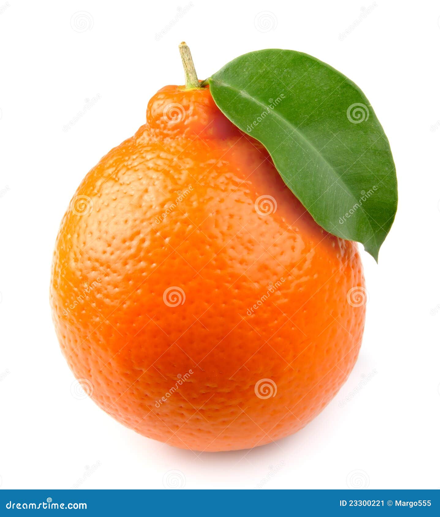 Dichte Omhooggaand Van De Citrusvrucht Stock Afbeelding - Image of ...