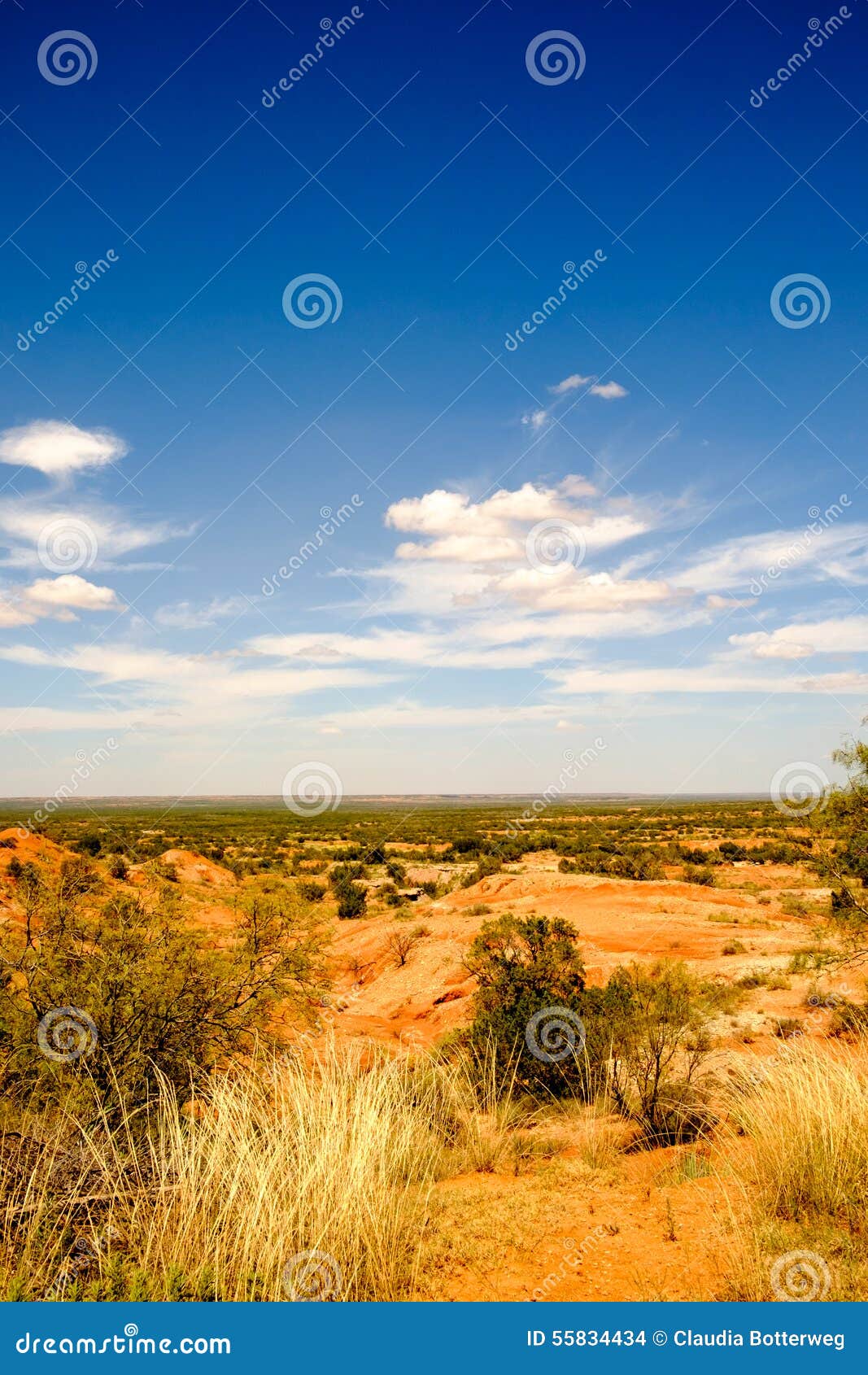 Dickens County, Texas stock photo. Image of vertical - 55834434