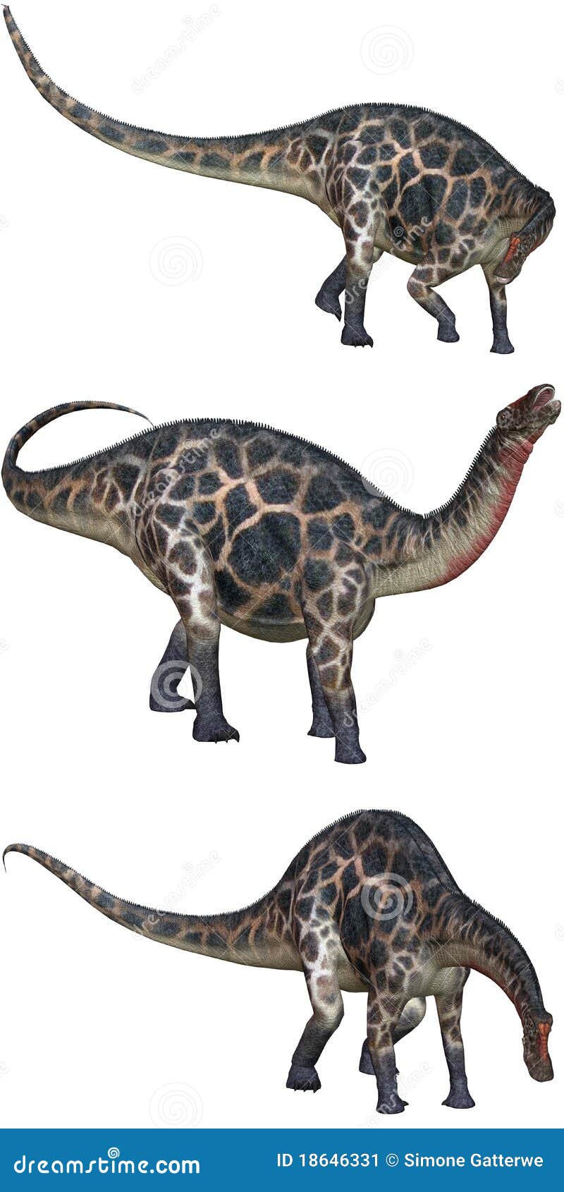 Dicraeosaurus stock illustration. Illustration of wild - 18646331